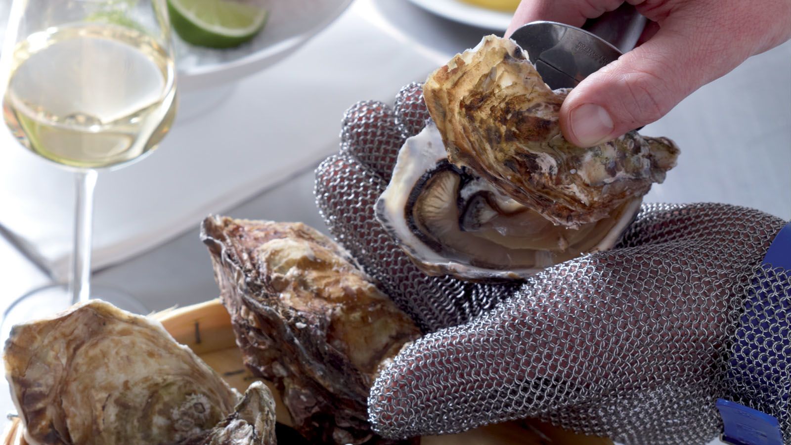 Minden, amit az osztrigáról tudni akartál. És az is, amit nem feltétlenül.