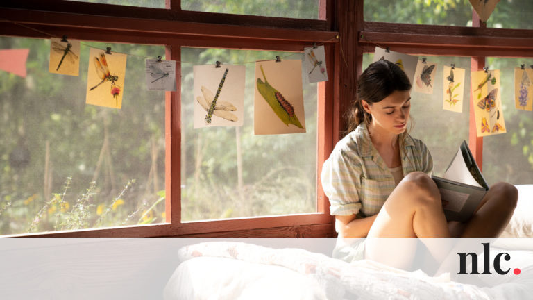 Kritika az Ahol a folyami rákok énekelnek című filmről