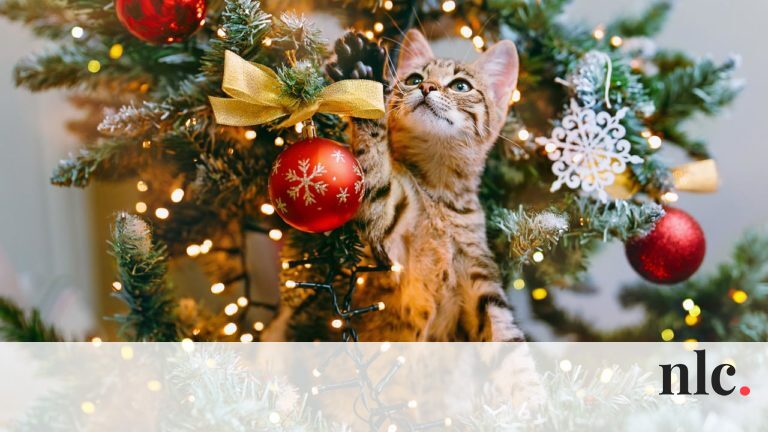 Karácsonyi reklámok 2022