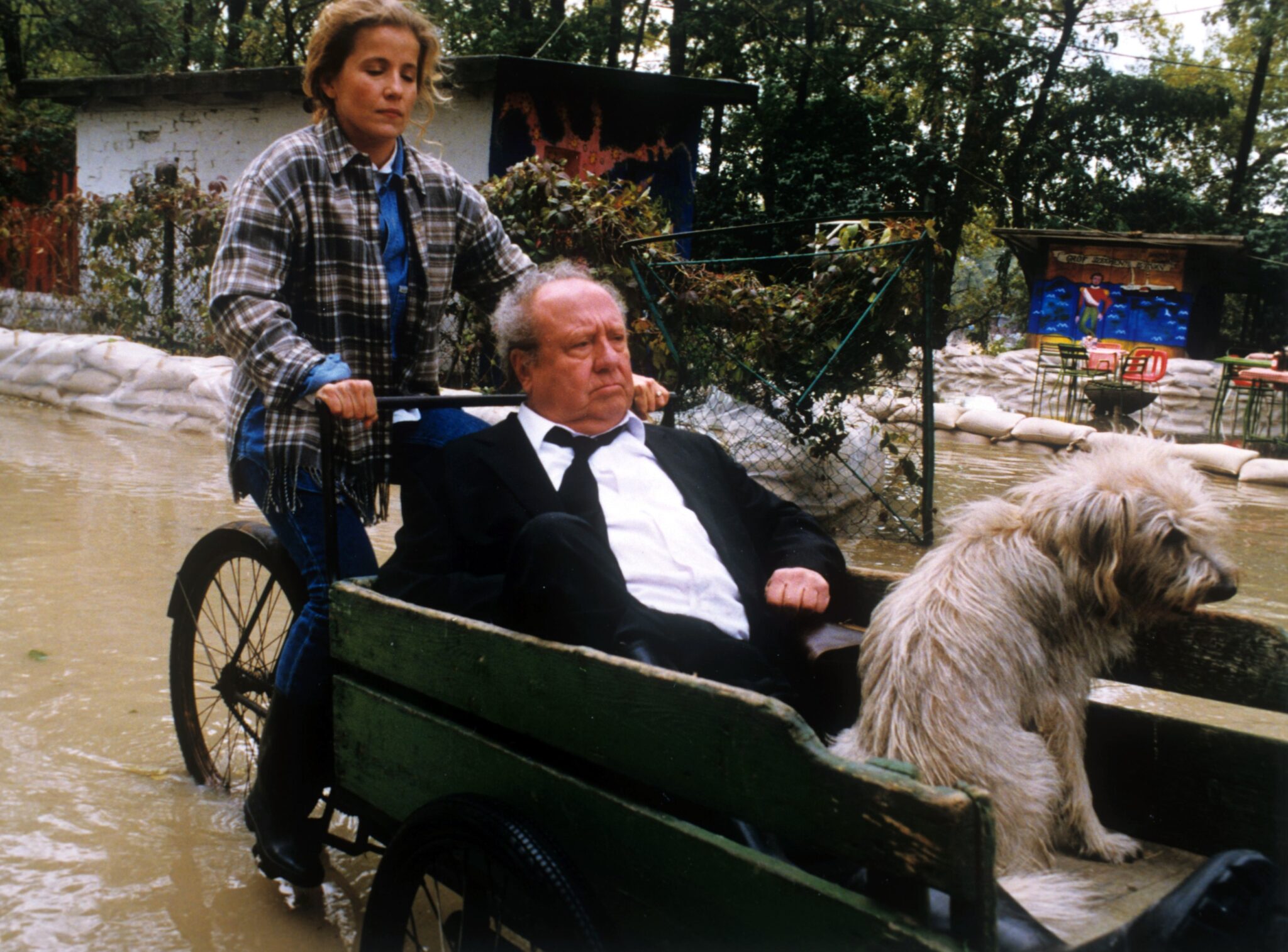 Fehér Anna akkor és most galéria