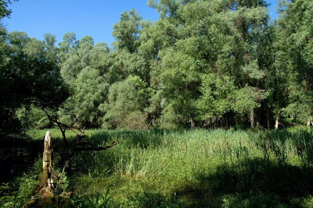 Romantikus dunai szigetek Budapest rejtekében és a Dunakanyarban