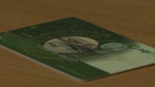 SZÉP-kártya egyenleg terhére vásárolható termékek 2025-ben