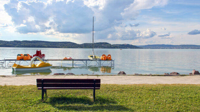 Cápának vélt balatoni busa